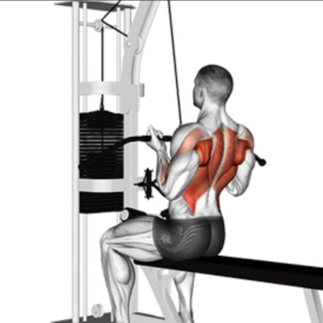 Reverse Grip Cable Pulldown by 𝔻𝕖𝕤𝕖𝕣𝕥 𝔽𝕠𝕩🦊 🌟 - Exercise How-to - Skimble