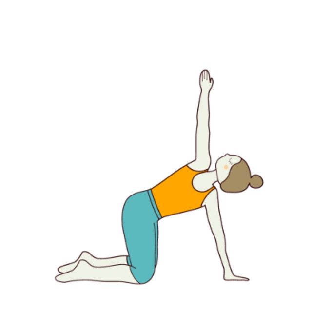 Revolved Table Top by 𝔻𝕖𝕤𝕖𝕣𝕥 𝔽𝕠𝕩🦊 🌟 - Exercise How-to - Skimble