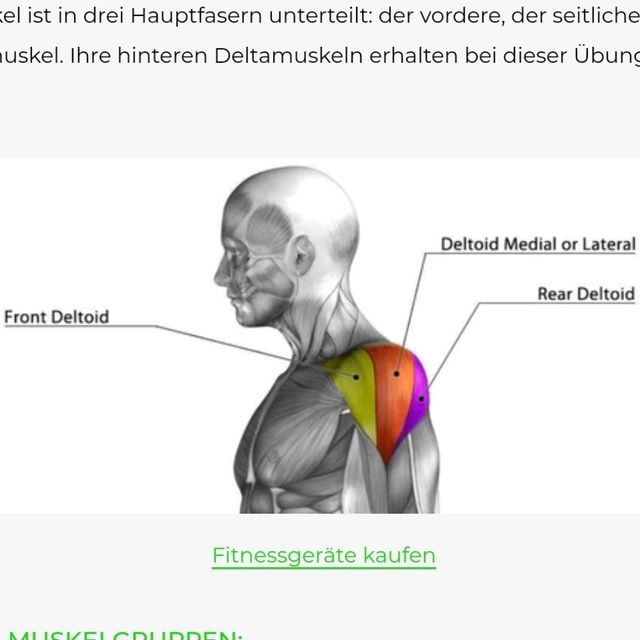 Delts Machine - Exercise How-to - Workout Trainer by Skimble