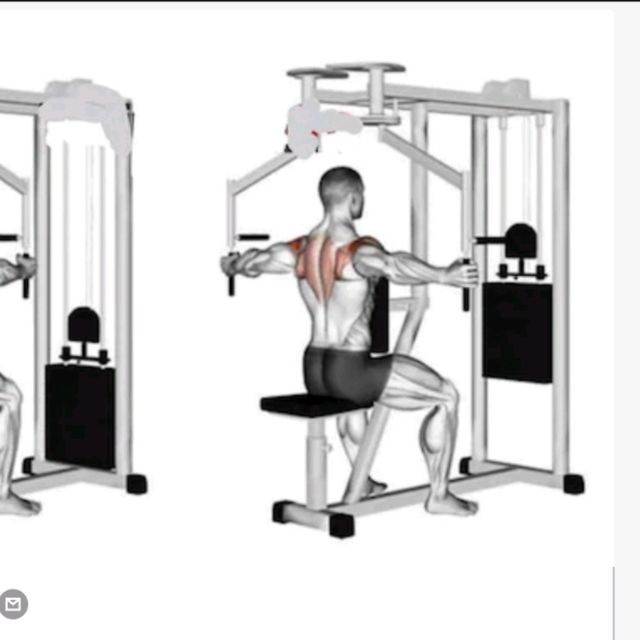 Delts Machine by Timon Jona Martin - Exercise How-to - Skimble