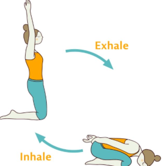 Kneeling Child Pose Flow by 𝔻𝕖𝕤𝕖𝕣𝕥 𝔽𝕠𝕩🦊 🌟 - Exercise How-to - Skimble
