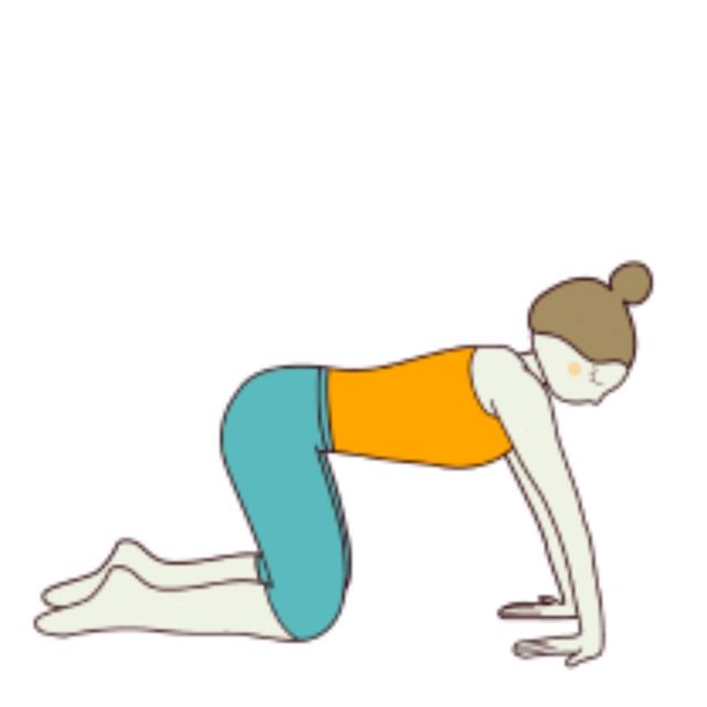 Table Top Wrist Stretch by 𝔻𝕖𝕤𝕖𝕣𝕥 𝔽𝕠𝕩🦊 🌟 - Exercise How-to - Skimble