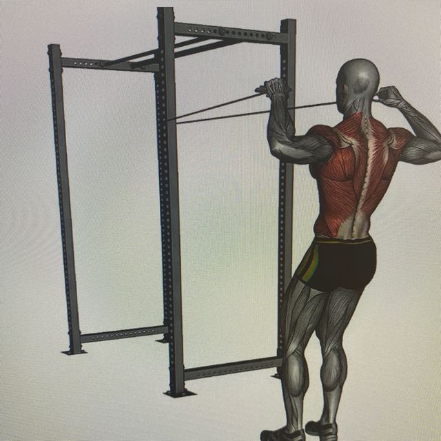 Face Pulls by Sérgio F. - Exercise How-to - Skimble