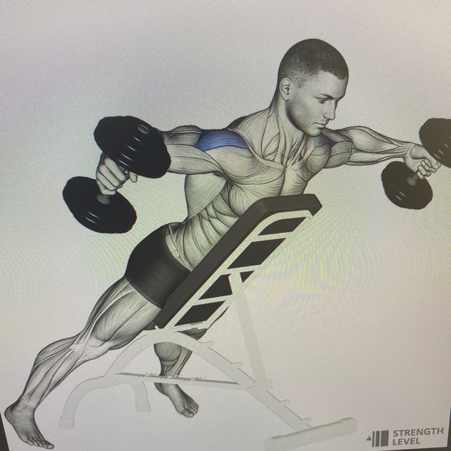 Reverse Chest Fly by Sérgio F. - Exercise How-to - Skimble