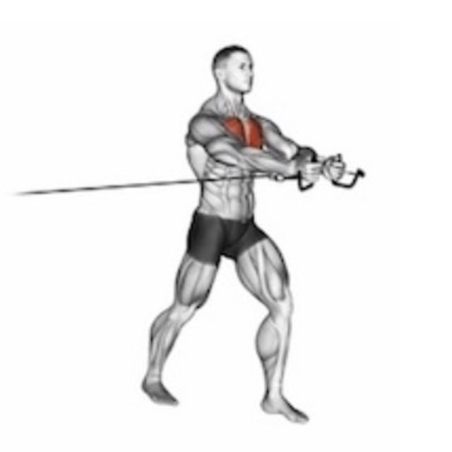 Cable Fly by Sérgio F. - Exercise How-to - Skimble