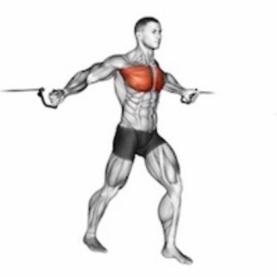 Cable Front Raise by Sérgio F. - Exercise How-to - Skimble