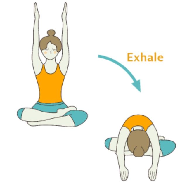 Half Lotus Forward Bend Flow ,switch Legs After 30sec by 𝔻𝕖𝕤𝕖𝕣𝕥 𝔽𝕠𝕩🦊 🌟 ...