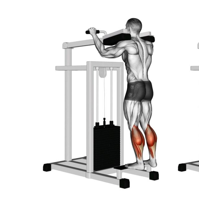 Machine Calf Raises by Richard Terry Jr - Exercise How-to - Skimble