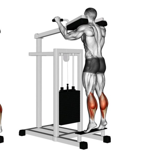 Machine Calf Raises by Richard Terry Jr - Exercise How-to - Skimble