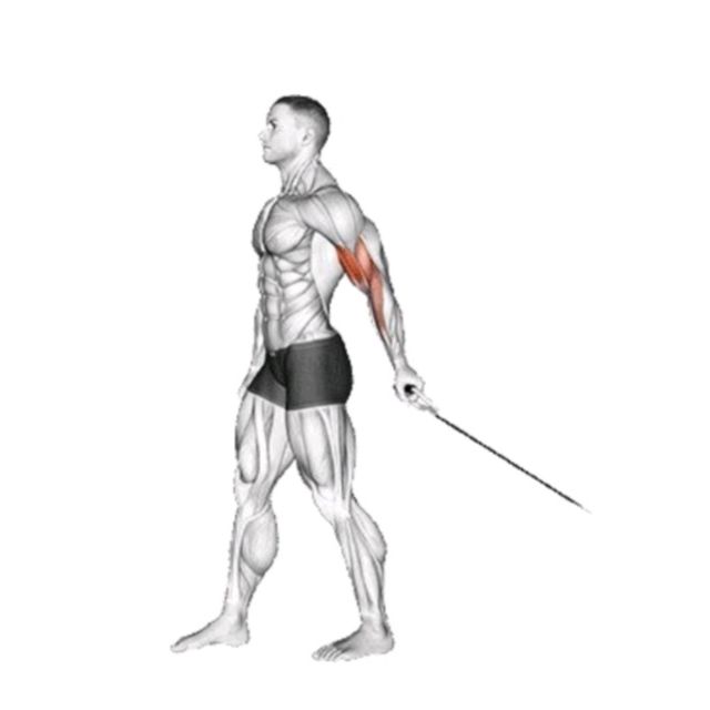 Bayesian Cable Curl by Richard Terry Jr - Exercise How-to - Skimble