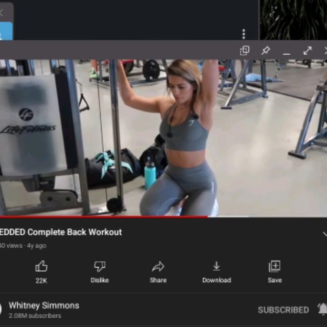 Single arm lat pulldown by Kristine Norton - Exercise How-to - Skimble