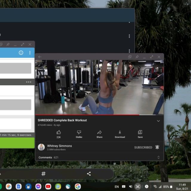 front pull by Kristine Norton - Exercise How-to - Skimble