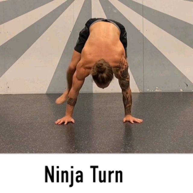 Ninja Turn by Alex 🌊. - Exercise How-to - Skimble Workout Trainer