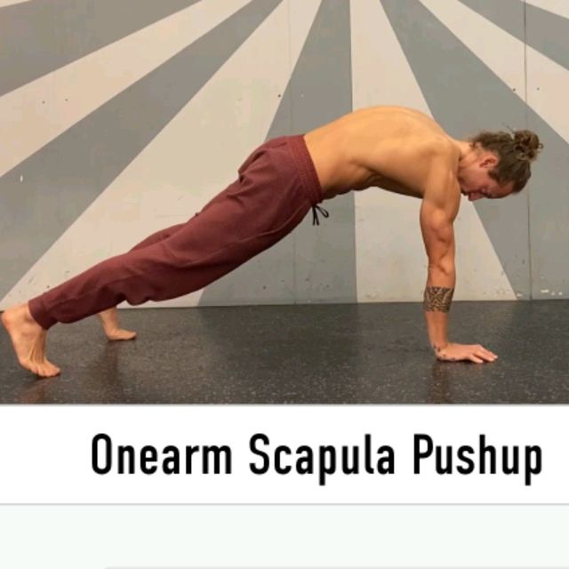 One Arm Scapula Push Up by Alex 🌊. - Exercise How-to - Skimble