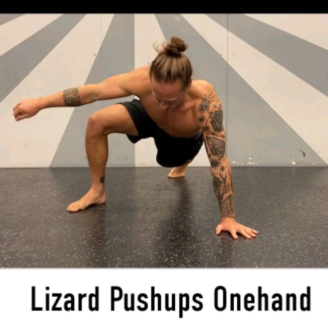 Lizard One Arm Push Up by Alex 🌊. - Exercise How-to - Skimble
