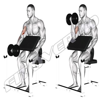 Dumbbell Bent Over Row by Ftf40 Jan - Exercise How-to - Skimble