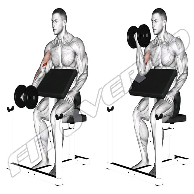 Dumbbell Preacher Curl by Ftf40 Jan - Exercise How-to - Skimble