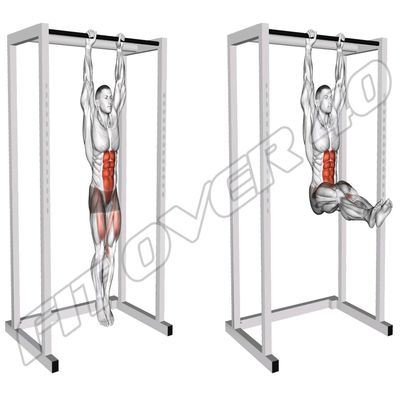 Vertical Leg Raise by Ftf40 Jan - Exercise How-to - Skimble