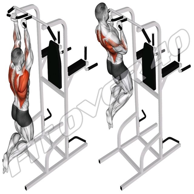 Supinated Narrow Grip Pull Up by Ftf40 Jan - Exercise How-to - Skimble