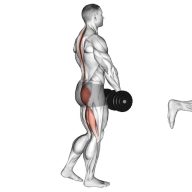 Single Leg RDL by Richard Terry Jr - Exercise How-to - Skimble