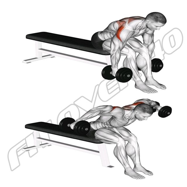 Dumbbell Rear Fly by Ftf40 Jan - Exercise How-to - Skimble