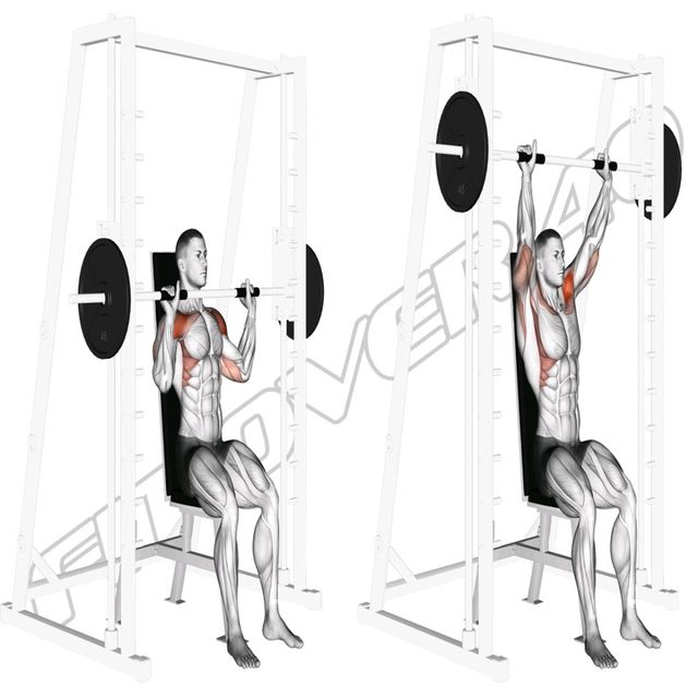 Smith Seated Shoulder Press by Ftf40 Jan - Exercise How-to - Skimble