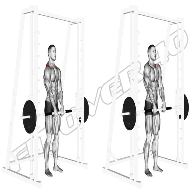 Smith Shrug Close Grip by Ftf40 Jan - Exercise How-to - Skimble