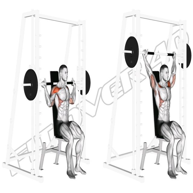 Smith Behind Neck Press by Ftf40 Jan - Exercise How-to - Skimble