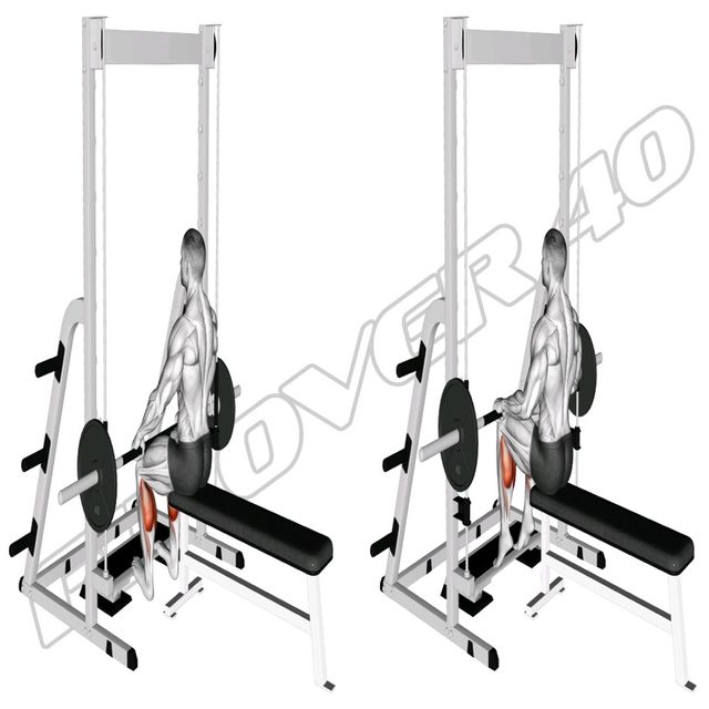 Smith Seated Calf Rise by Ftf40 Jan - Exercise How-to - Skimble