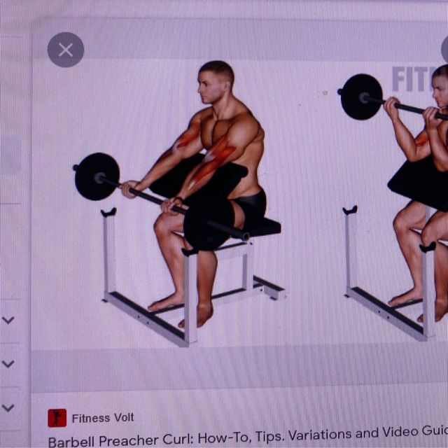 Preacher Curl by Chokchai Chaiyavanichyakul - Exercise How-to - Skimble