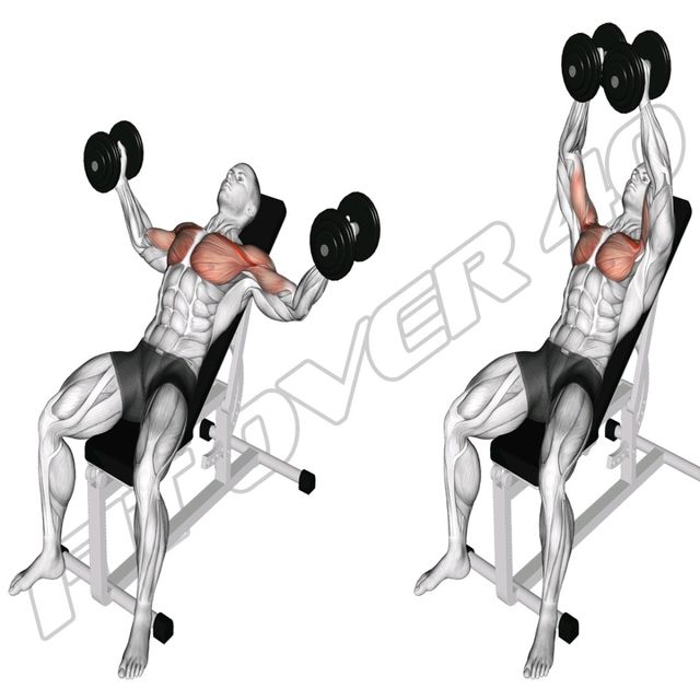 Incline Dumbbell Fly by Ftf40 Jan - Exercise How-to - Skimble