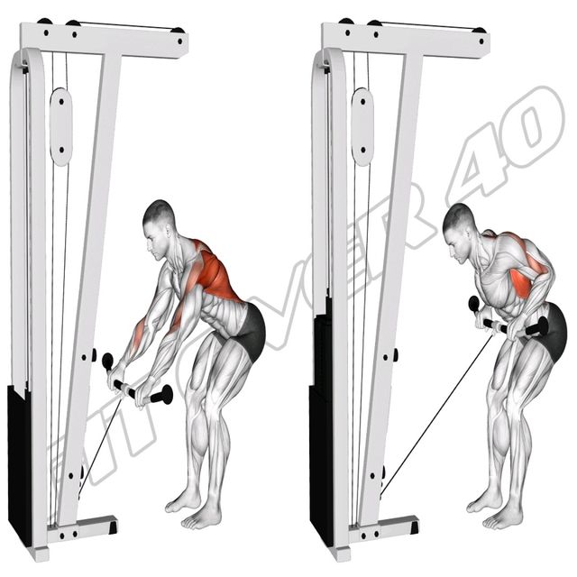 Cable Bent Over Row by Ftf40 Jan - Exercise How-to - Skimble