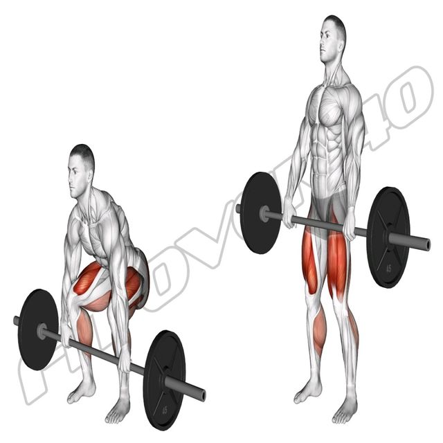 Barbell Deadlift Back by Ftf40 Jan - Exercise How-to - Skimble