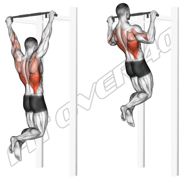 Pull Up Wide Grip by Ftf40 Jan - Exercise How-to - Skimble
