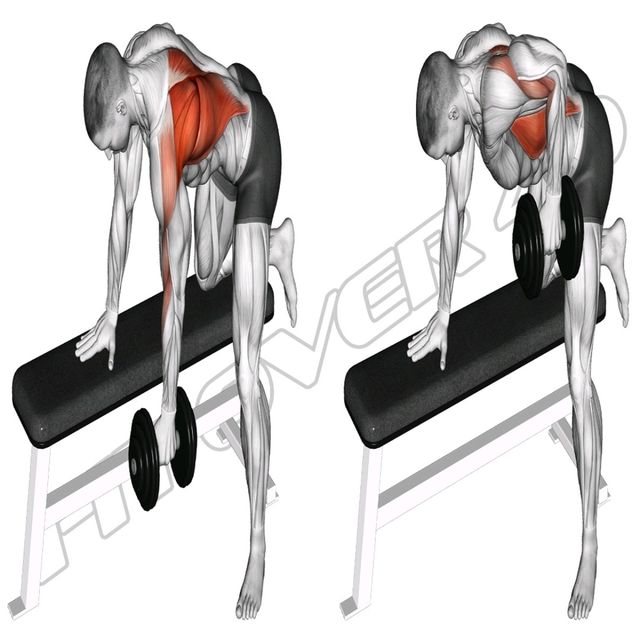 Dumbbell Bent Over Row by Ftf40 Jan - Exercise How-to - Skimble