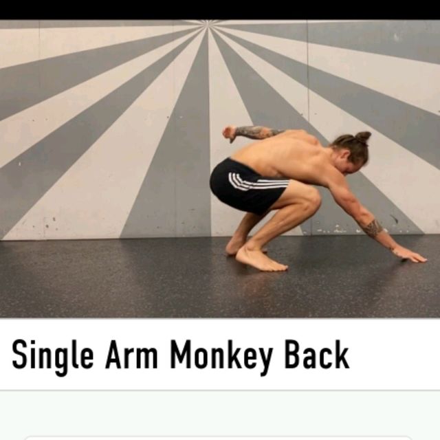 Single Arm Monkey Back by Alex 🌊. - Exercise How-to - Skimble