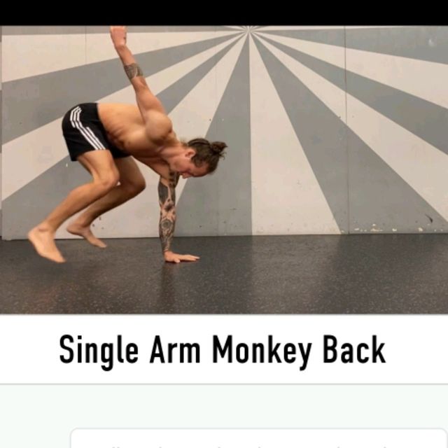 Single Arm Monkey Back by Alex 🌊. - Exercise How-to - Skimble