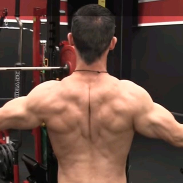 Hi-to-low Pull Inverted Pull Aparts by Frank Roodenburg - Exercise How ...