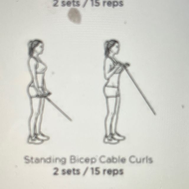 Bicep Cable Curl by Stacey S. - Exercise How-to - Skimble