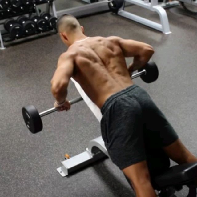 Bench Rows by Manuela B. - Exercise How-to - Skimble