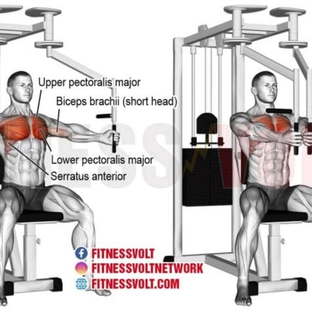 Pec Deck Machine by John T. - Exercise How-to - Skimble