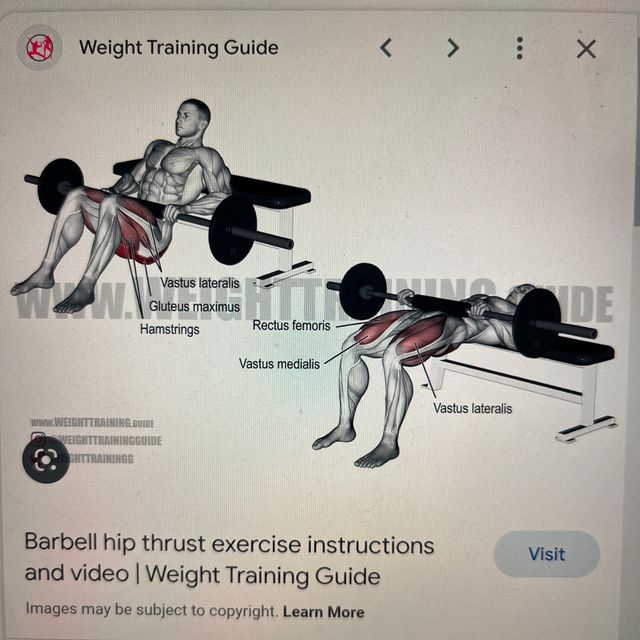 Barbell Hip Thrust by Ryan R. - Exercise How-to - Skimble