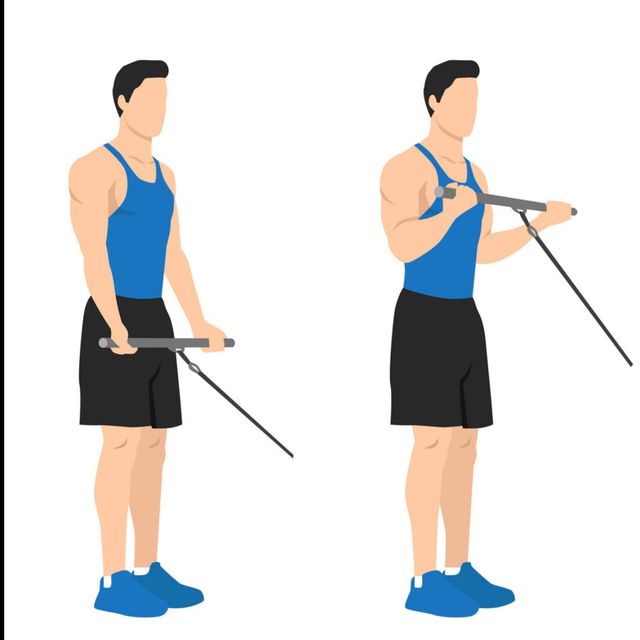 Biceps Cable Curls by Neale Davis - Exercise How-to - Skimble