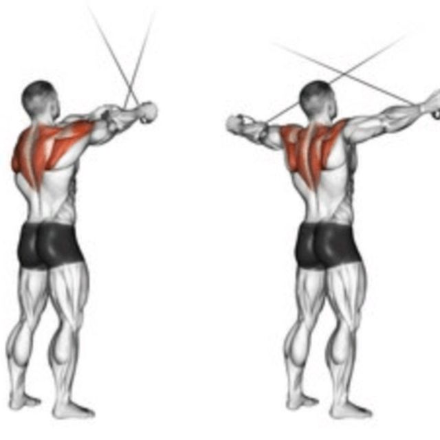 Double Arm Reverse Cable Fly by Shashank T. - Exercise How-to - Skimble