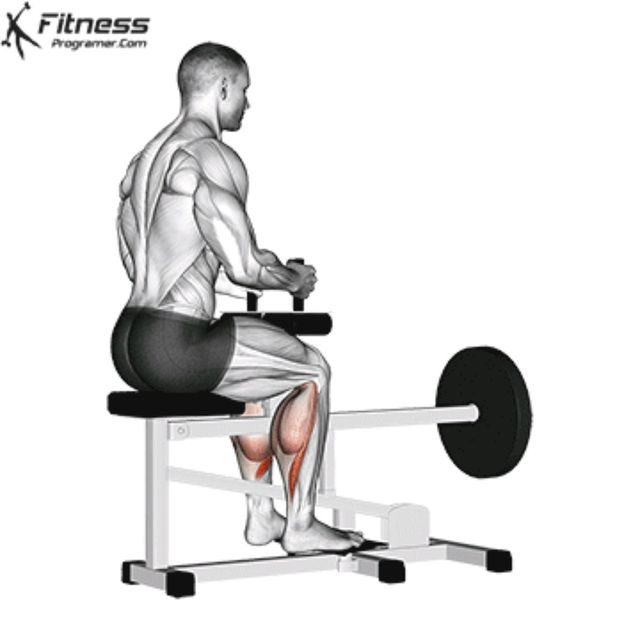 Seated Calf Machine by Dinalva Oliver - Exercise How-to - Skimble