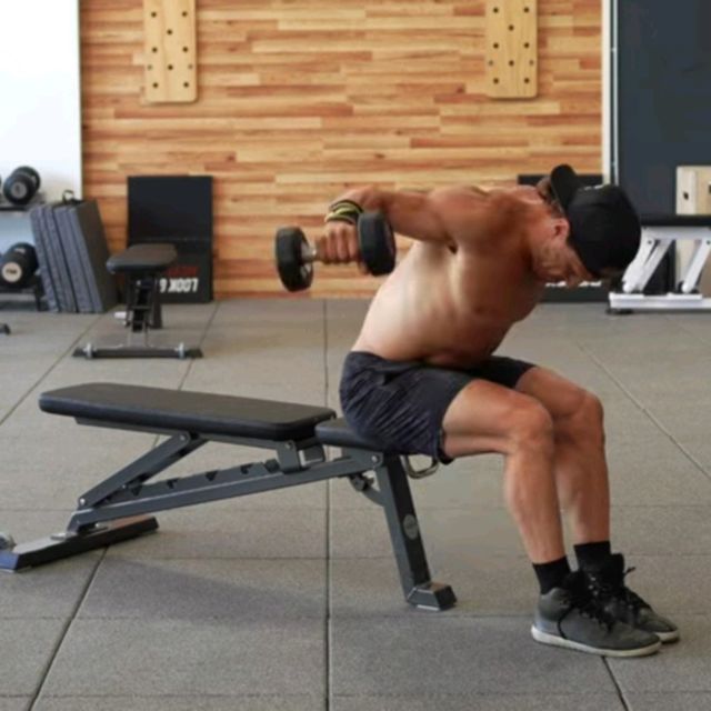 Seated DB rear delt fly by Francisco Perez - Ejercicio Cómo hacerlo ...