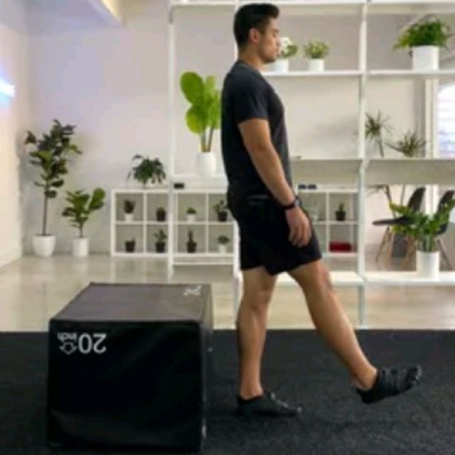 Eccentric Bench Pistol Squats by K C - Exercise How-to - Skimble