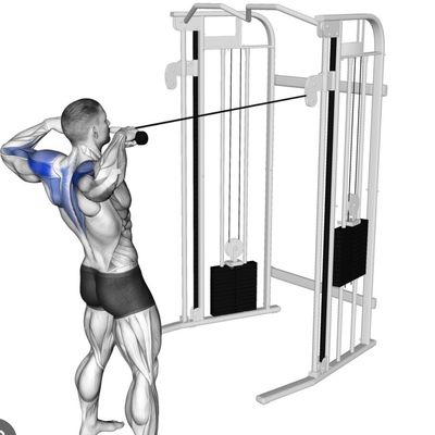 Barbell Ab Rollouts by Neale Davis - Exercise How-to - Skimble