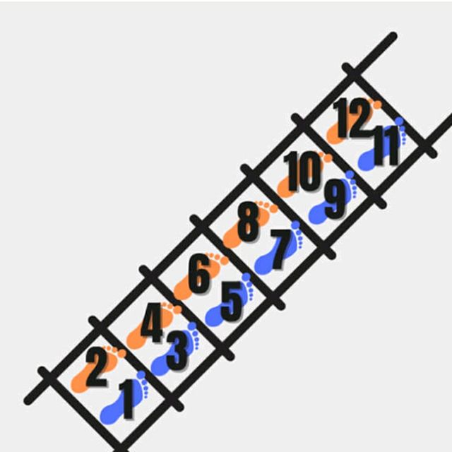 Double Foot Run Plyometric Ladder Drill by Kimberly C - Exercise How-to ...