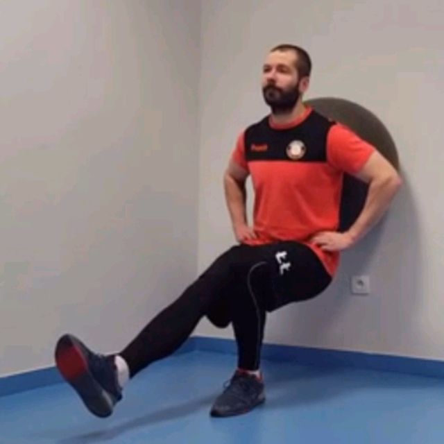 Swiss Ball SL Squat by Francisco Perez - Ejercicio Cómo hacerlo - Skimble